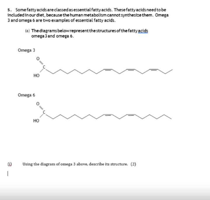 Omega 3 Omega 6 Structure