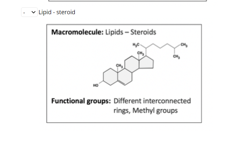 Solved Importantly, polymers contain repeating units that | Chegg.com