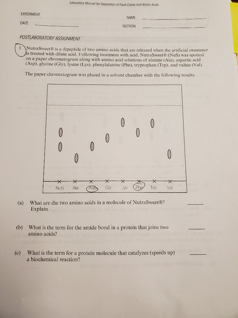 Solved Laboratory Manual for Separation of Food Colors and | Chegg.com