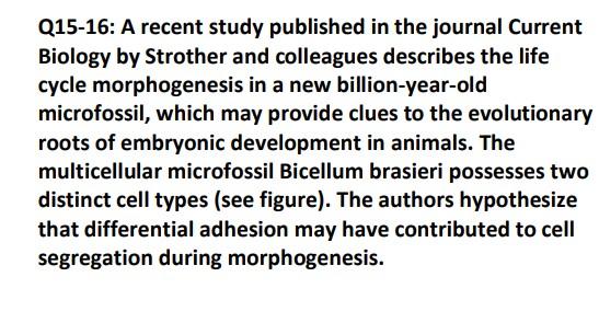 Solved Q15-16: A recent study published in the journal | Chegg.com