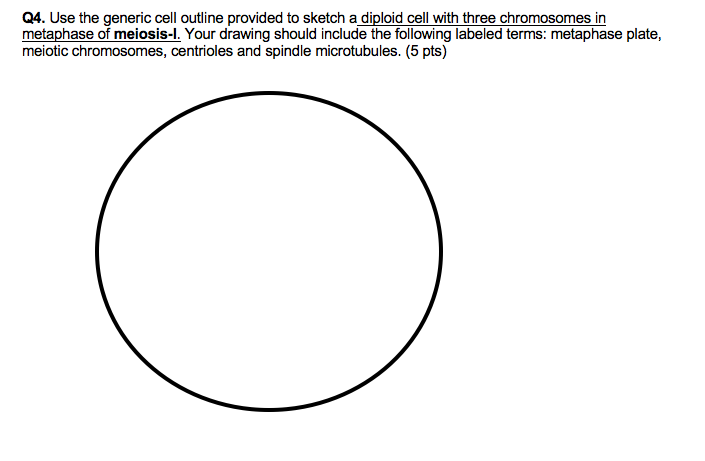 Solved Q4. Use the generic cell outline provided to sketch a | Chegg.com