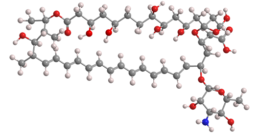 Solved Amphotericin B: 1. Identify chiral centers in | Chegg.com