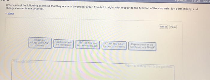 function of the channels, ion permeability, and Order | Chegg.com