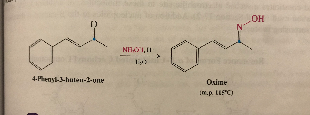 Solved My question is what is it about H2NOH that causes | Chegg.com