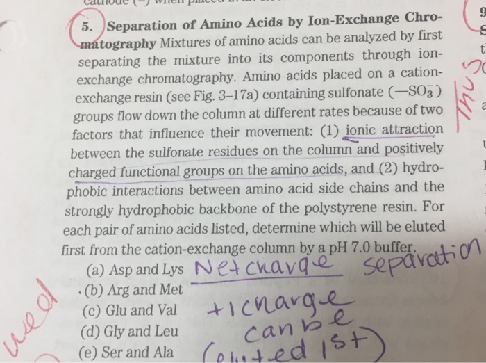Solved 5. Separation of Amino Acids by Ion-Exchange Chro- 9 | Chegg.com