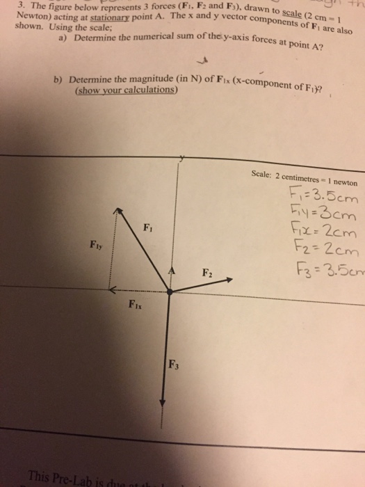 Solved drawn to scale (2 cm-1 Newton) acting at stationary | Chegg.com