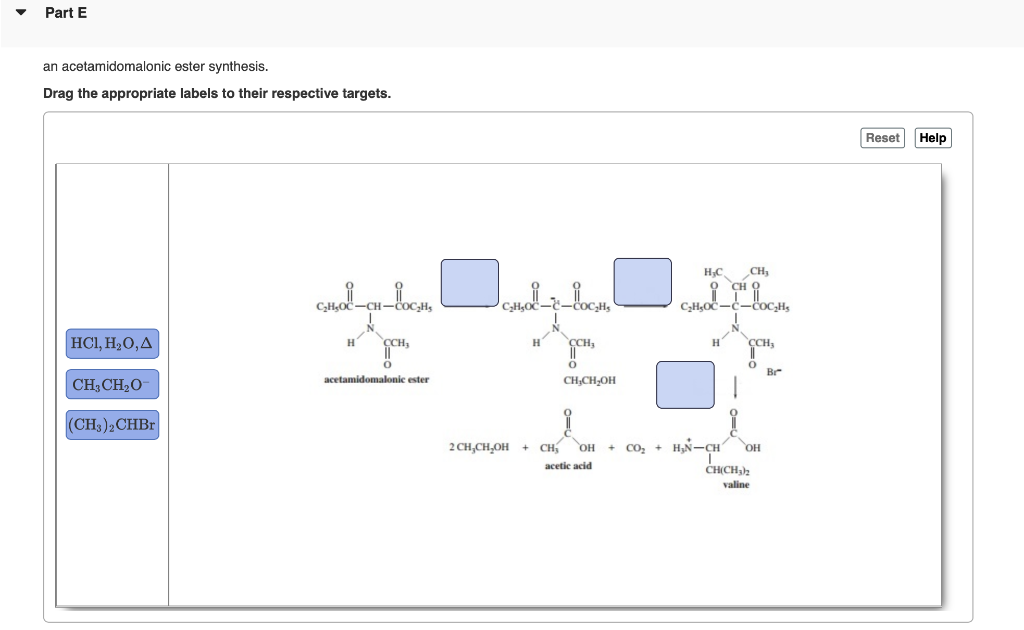 Solved a reductive amination. Drag the appropriate labels to | Chegg.com