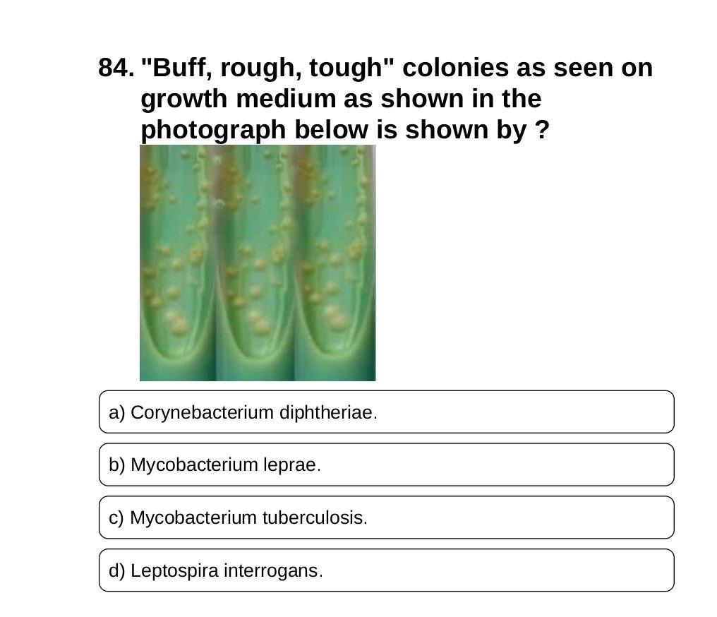 Solved 84. "Buff, rough, tough" colonies as seen on growth | Chegg.com