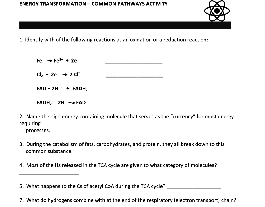 Solved ENERGY TRANSFORMATION - COMMON PATHWAYS ACTIVITY 1. | Chegg.com