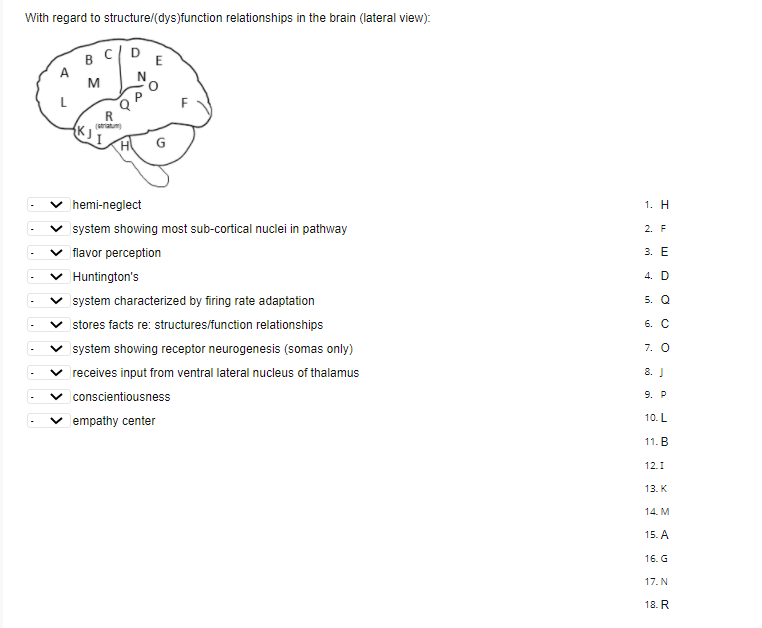Solved With regard to structure/(dys)function relationships | Chegg.com