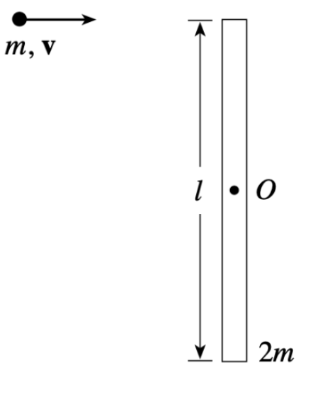 Solved A uniform rod, supported and pivoted at its midpoint, | Chegg.com