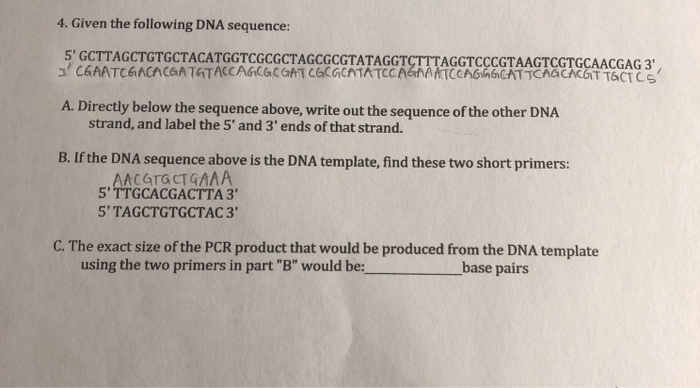 Solved 4. Given the following DNA sequence: 5 | Chegg.com