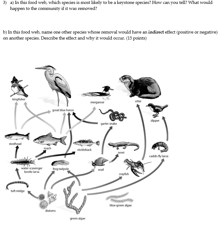 Solved 3) a) In this food web, which species is most likely | Chegg.com
