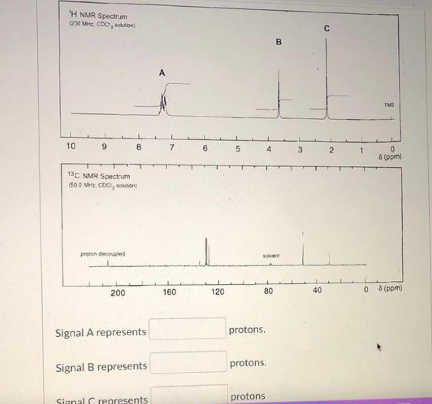 Solved I am really struggling with getting the answer to | Chegg.com