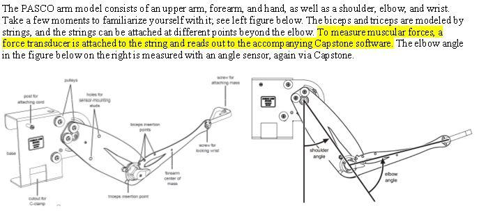 Solved Biceps force versus perpendicular load imagine | Chegg.com