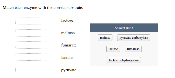 Solved Match each enzyme with the correct substrate. lactose | Chegg.com