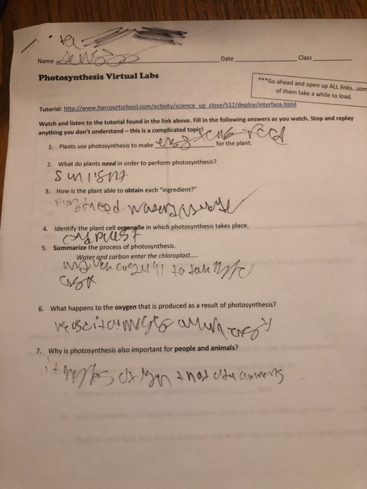 Solved He Date Class Name Photosynthesis Virtual Labs Solved He Date Class Name Photosynthesis Virtual Labs