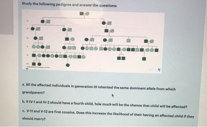 Solved Study the following pedigree and answer the questions | Chegg.com