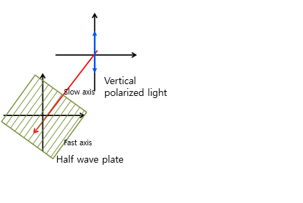 Solved Vertical slow axis polarized light Fast axis Half | Chegg.com