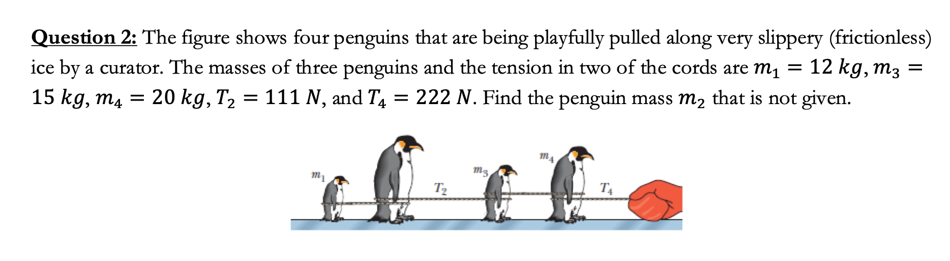 Solved Question 2: The figure shows four penguins that are | Chegg.com
