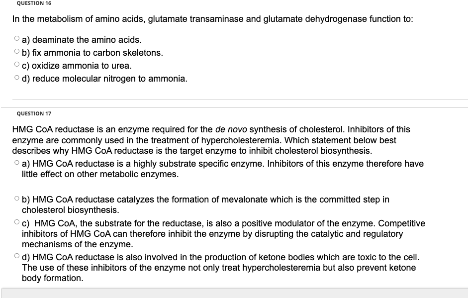 Solved In the metabolism of amino acids, glutamate | Chegg.com