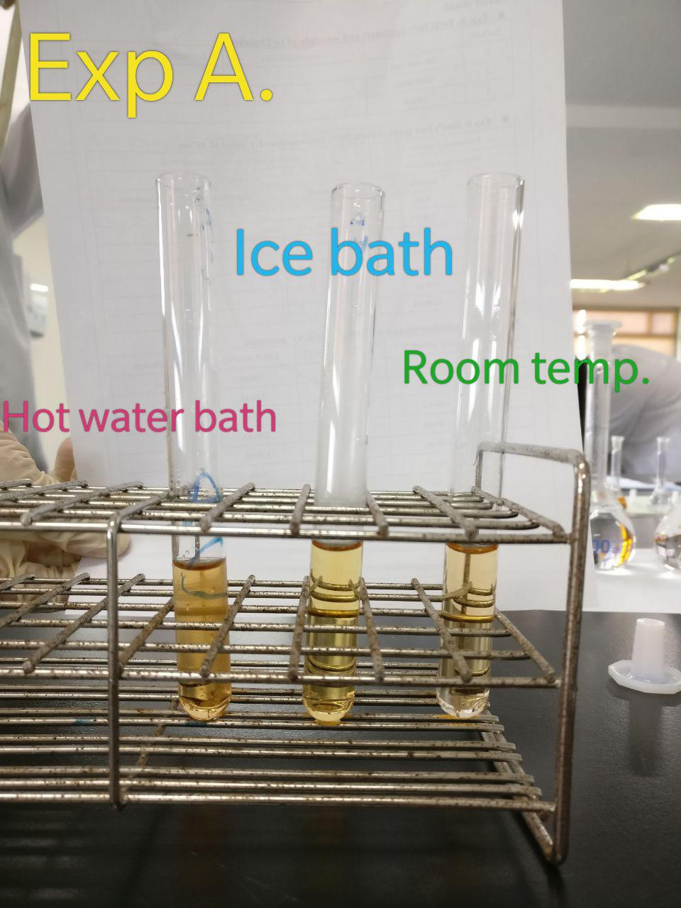 Determination of the Equilibrium | Chegg.com
