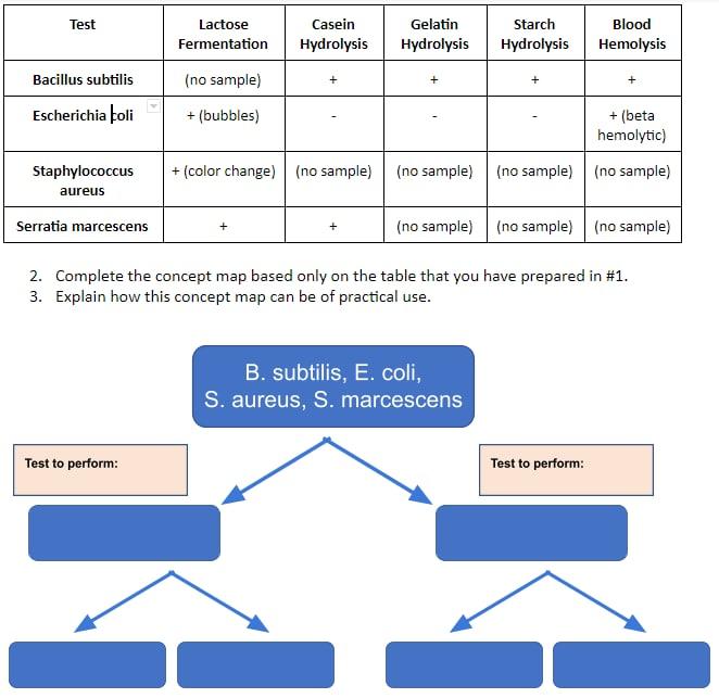 Solved Test Lactose Fermentation Casein Hydrolysis Gelatin | Chegg.com