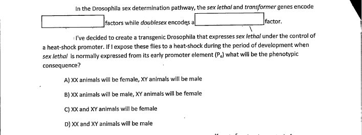 Solved In The Drosophila Sex Determination Pathway The Sex