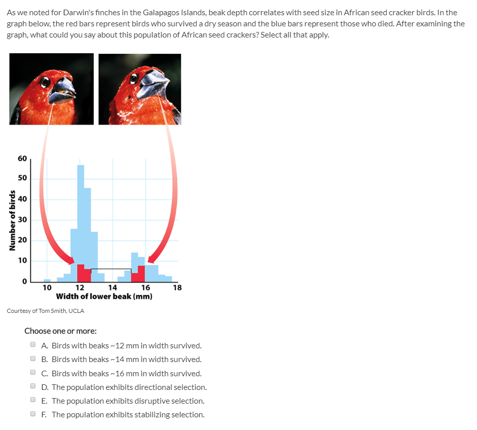 Solved: As We Noted For Darwin's Finches In The Galapagos ... | Chegg.com