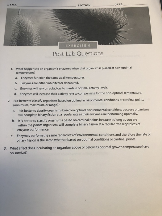 Solved DATE: NAME: SECTION: EXERCISE 9 Post-Lab Questions 1. | Chegg.com