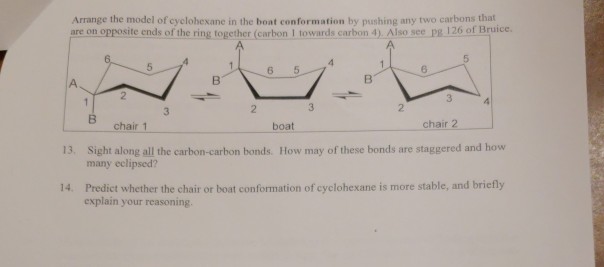 Solved Arrange the model of cyclohexane in the boat | Chegg.com