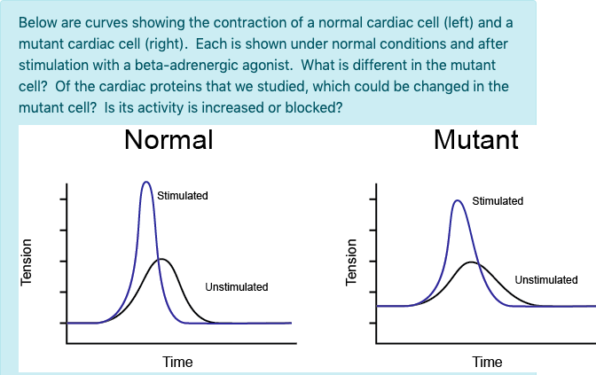 Solved Below are curves showing the contraction of a normal | Chegg.com