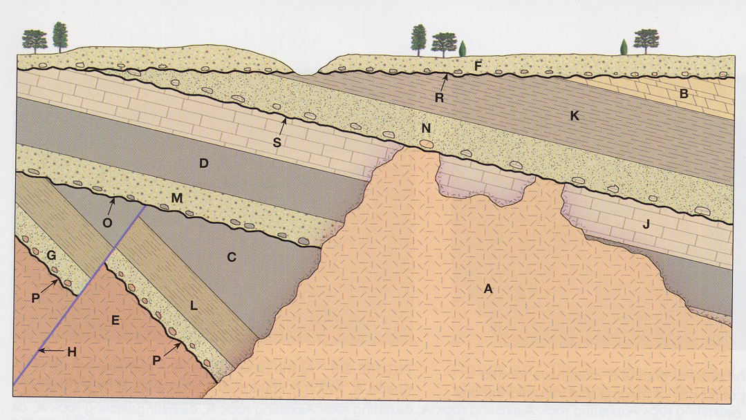 Solved Order the geologic events from youngest to oldest. | Chegg.com