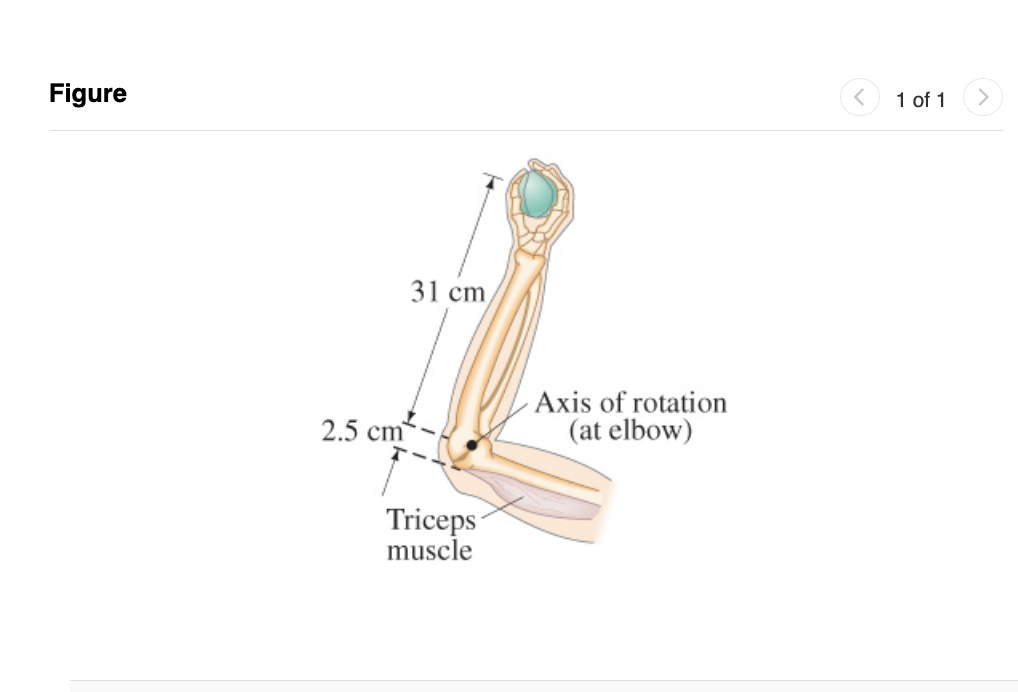 Solved The forearm in the figure। ball at 5.4 m/s2 by means | Chegg.com