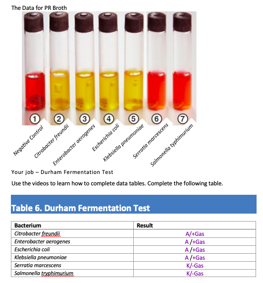 Solved Durham Fermentation Conclusion • Write your own | Chegg.com