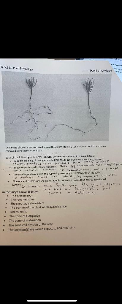 Solved BIOL311: Plant Physiology Exam 3 Study Guide wo at | Chegg.com