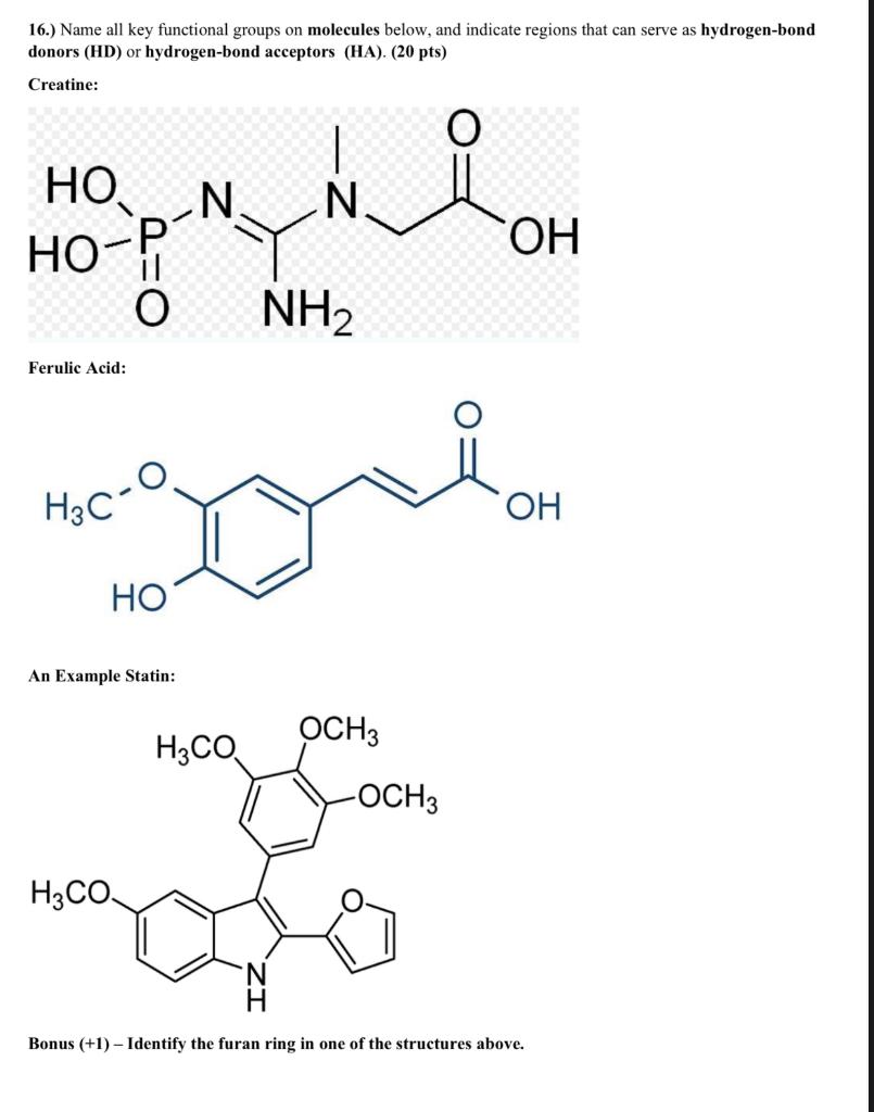 Solved 16.) Name all key functional groups on molecules | Chegg.com