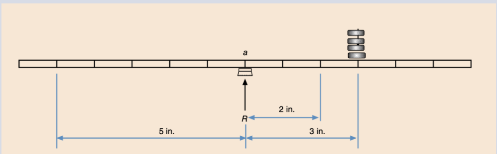 Solved For the self-experiment with the ruler, rubber | Chegg.com
