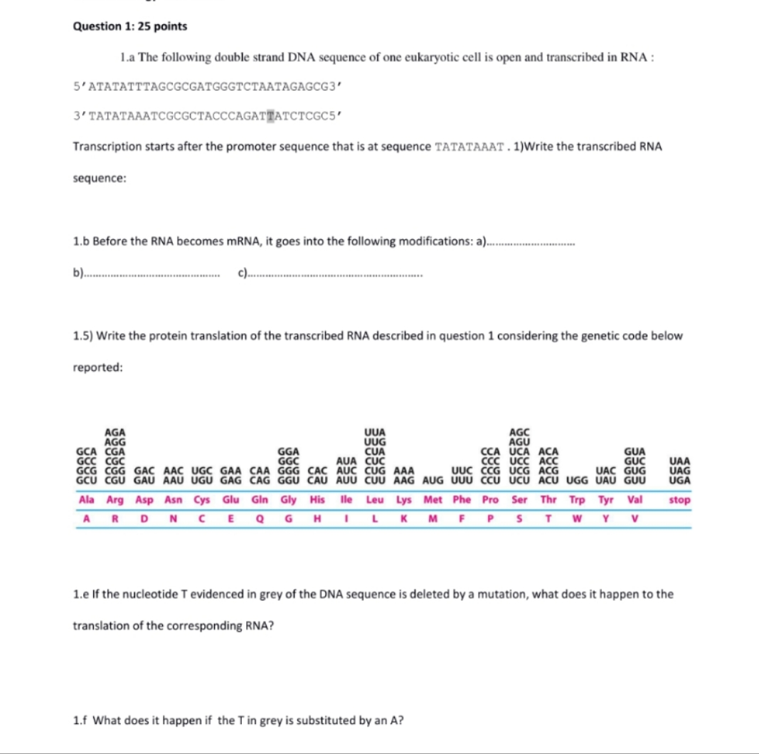 Solved Question 1: 25 points 1.a The following double strand | Chegg.com