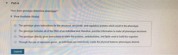 Solved Part A How does genotype determine phenotype? > View | Chegg.com