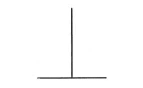 Solved An example of the vertical-horizontal illusion is | Chegg.com