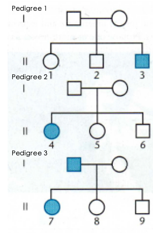 Solved 1.Consider the following three pedigrees, all | Chegg.com