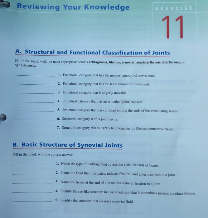 Solved Reviewing Your Knowledge EXERCISE A. Structural and | Chegg.com