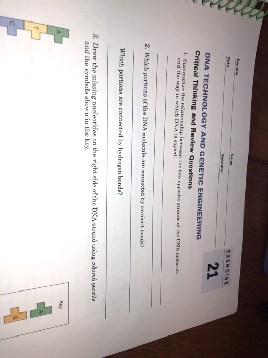 Solved EXERCISE Date 21 DNA TECHNOLOGY AND GENETIC | Chegg.com