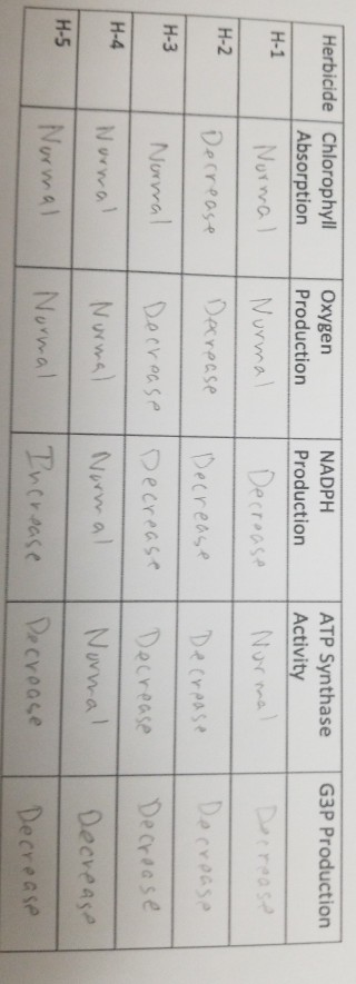 Solved Herbicide Chlorophyll Absorption H-1 Normal G3P | Chegg.com