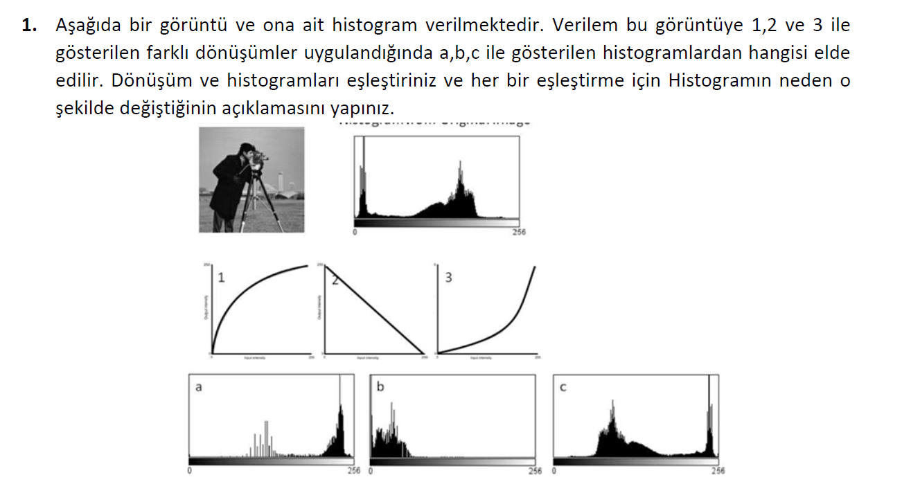 Solved Below is an image and its histogram. Let's give this | Chegg.com