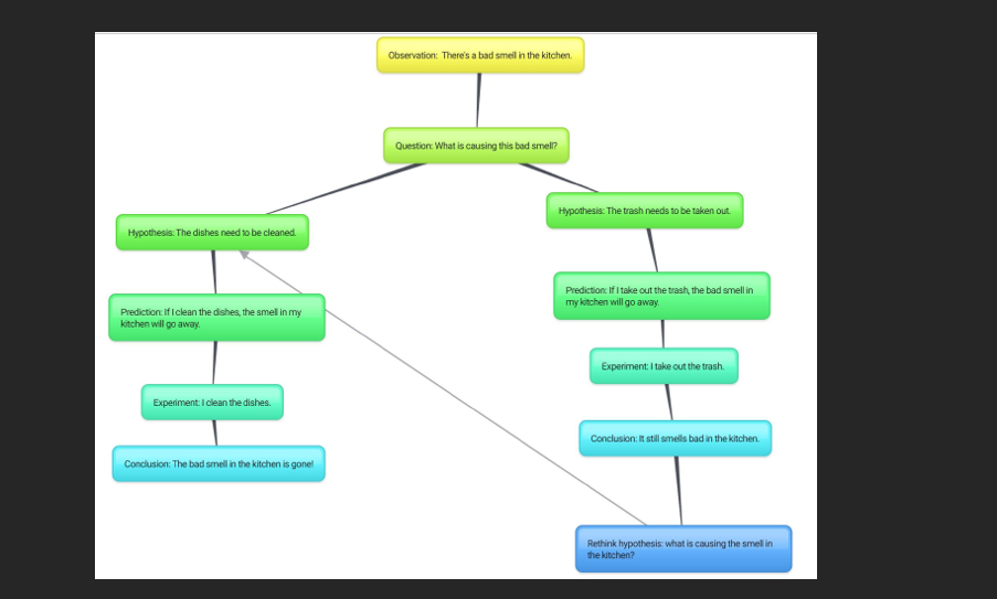 Solved This week you will be designing a concept map. | Chegg.com