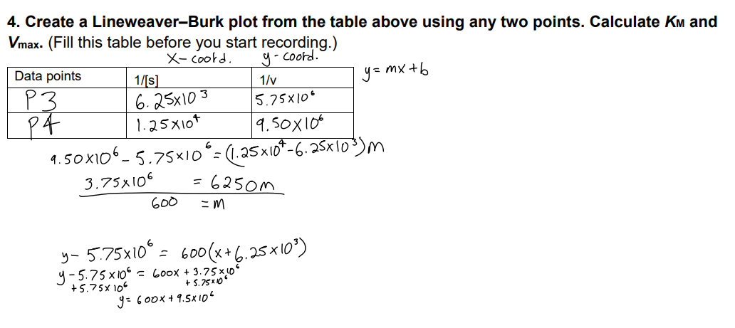 Solved 4. Create a Lineweaver-Burk plot from the table above | Chegg.com