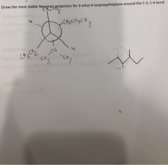 Solved Draw the most stable Newman projection for | Chegg.com