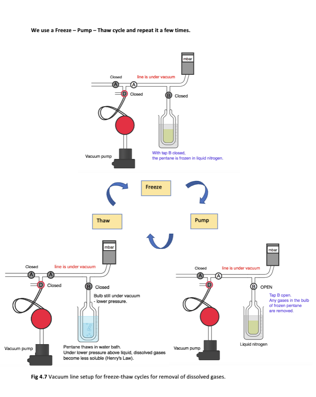 Solved This experiment is about using a schlenk line | Chegg.com